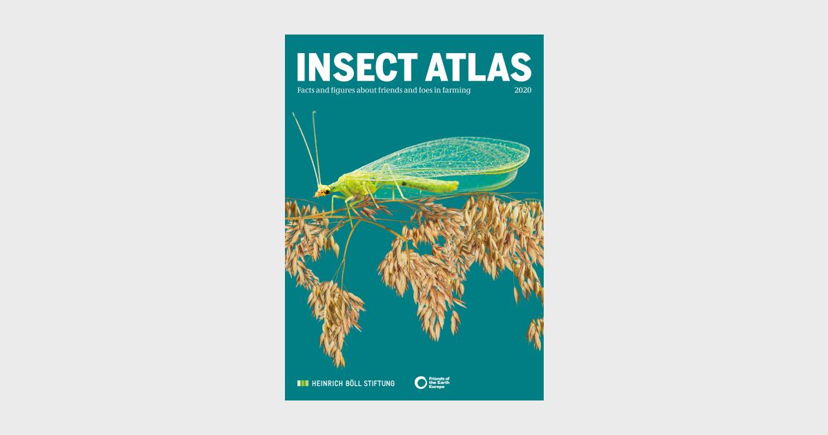 Insect Atlas | Heinrich-Böll-Stiftung | Palestine and Jordan
